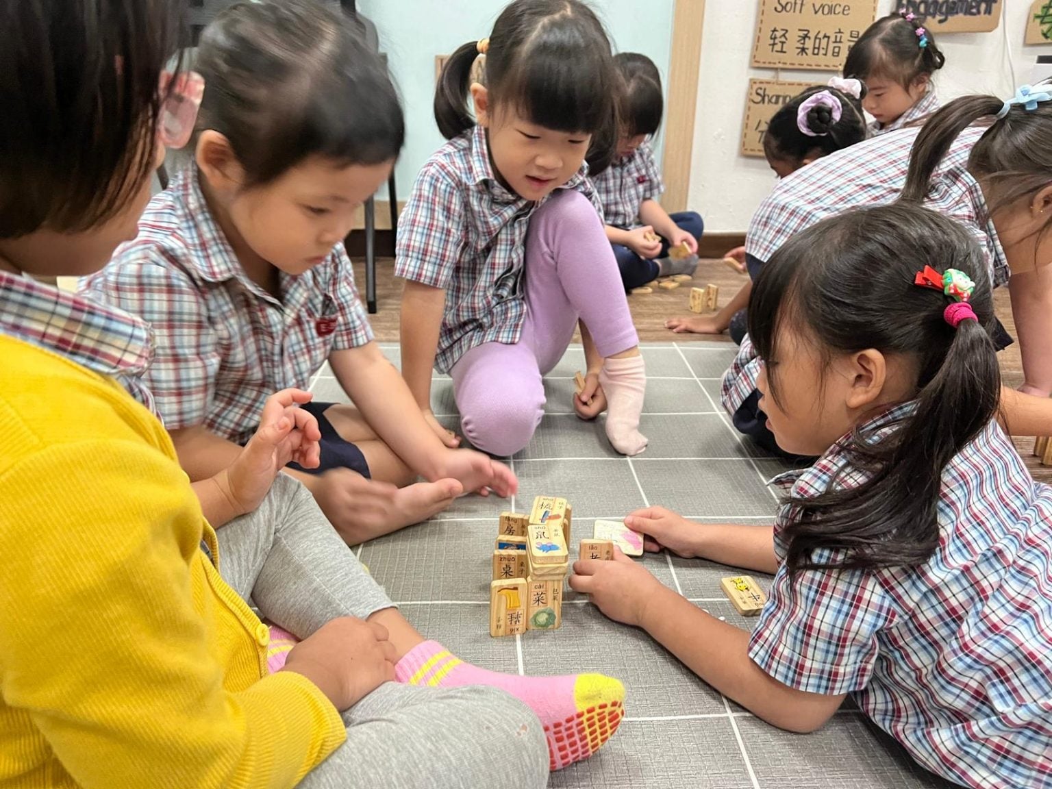 Curriculum Insights - E-Bridge Pre-School